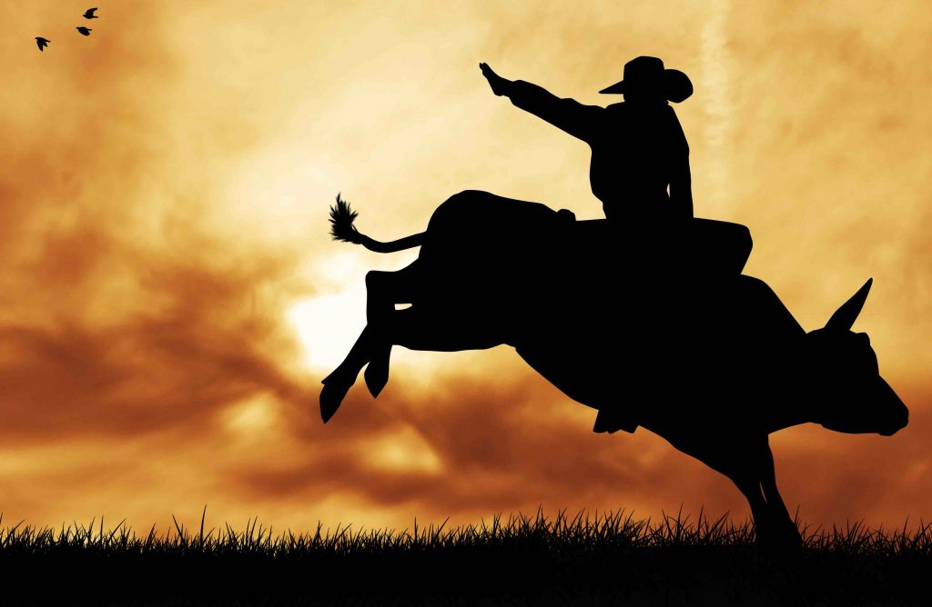 Come nel vecchio West: a MagicLand debutta l'attrazione Wild Rodeo ...