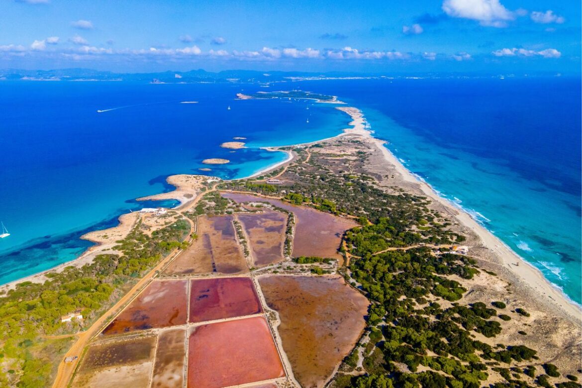 Dal birdwatching alla Posidonia: Formentera regina della biodiversità ...